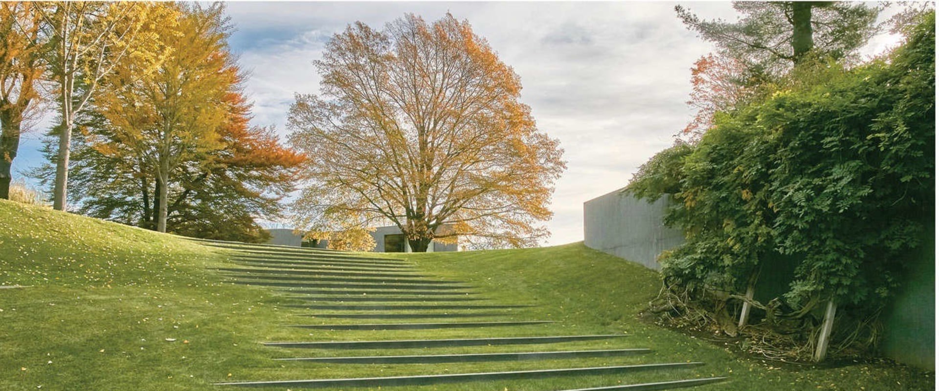 What are the steps to landscape?