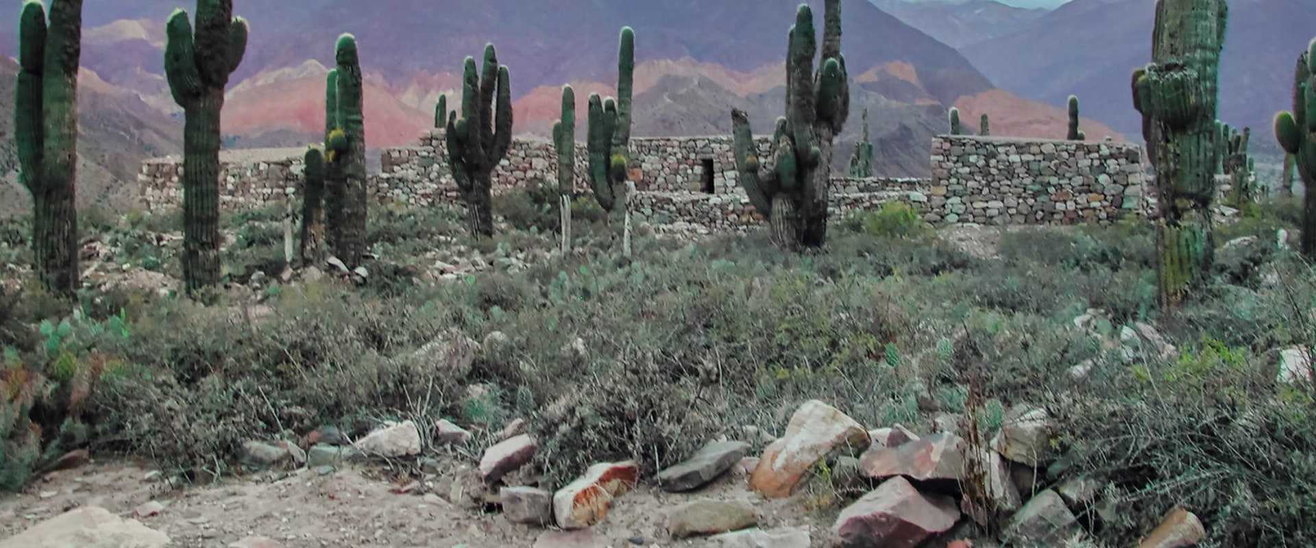 What are the 5 types of landscapes?